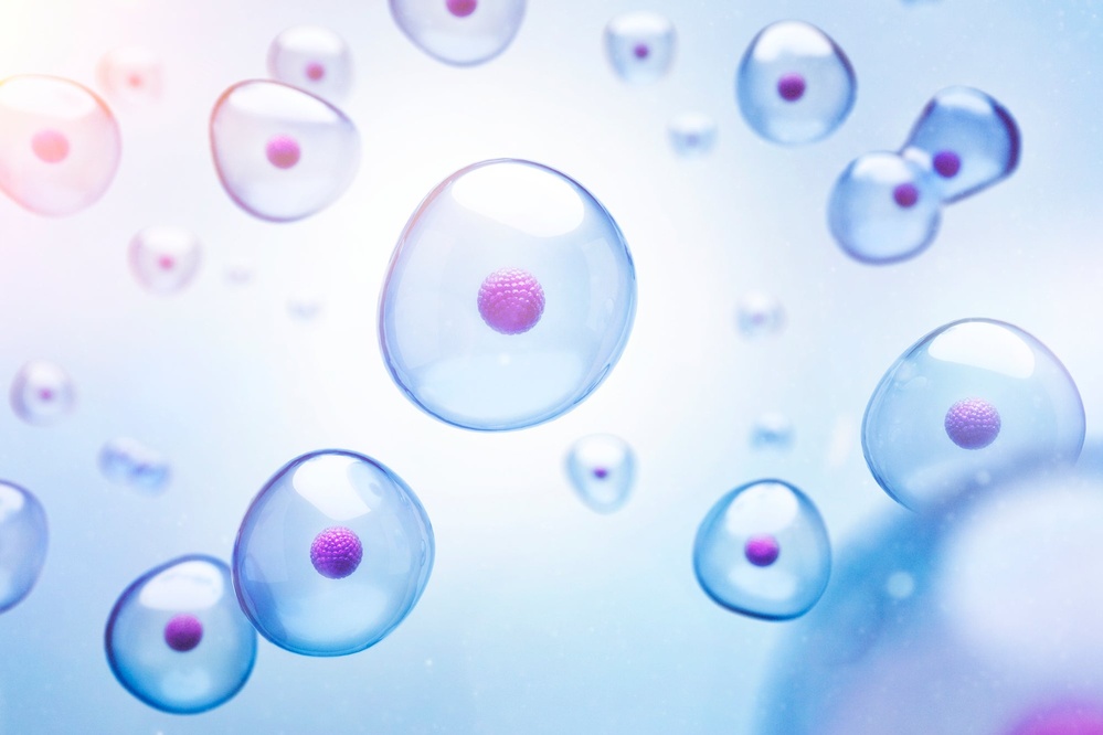 New research on cell differentiation mechanisms | Helium Trades